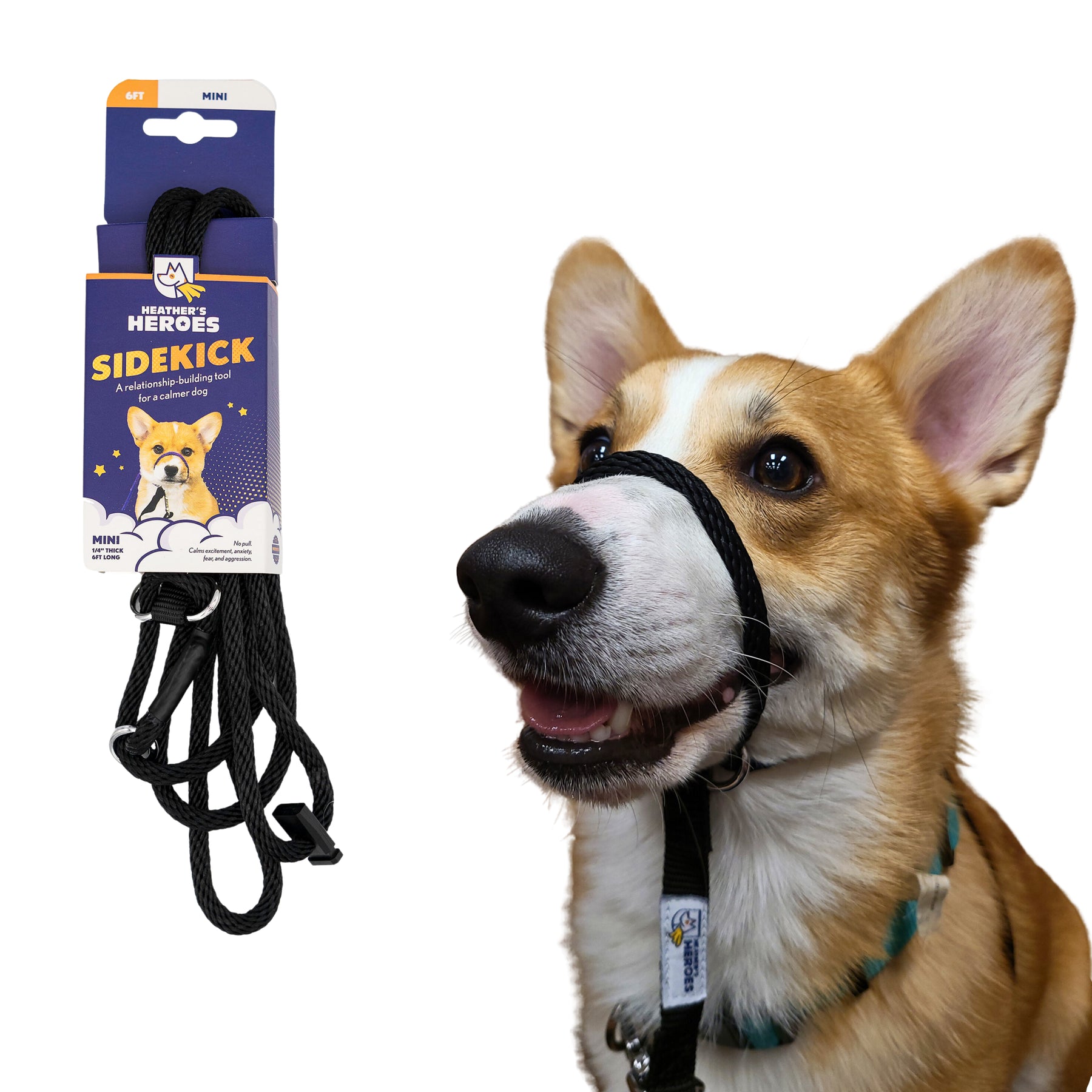The Sidekick® Transitional Leash® – Heather's Heroes