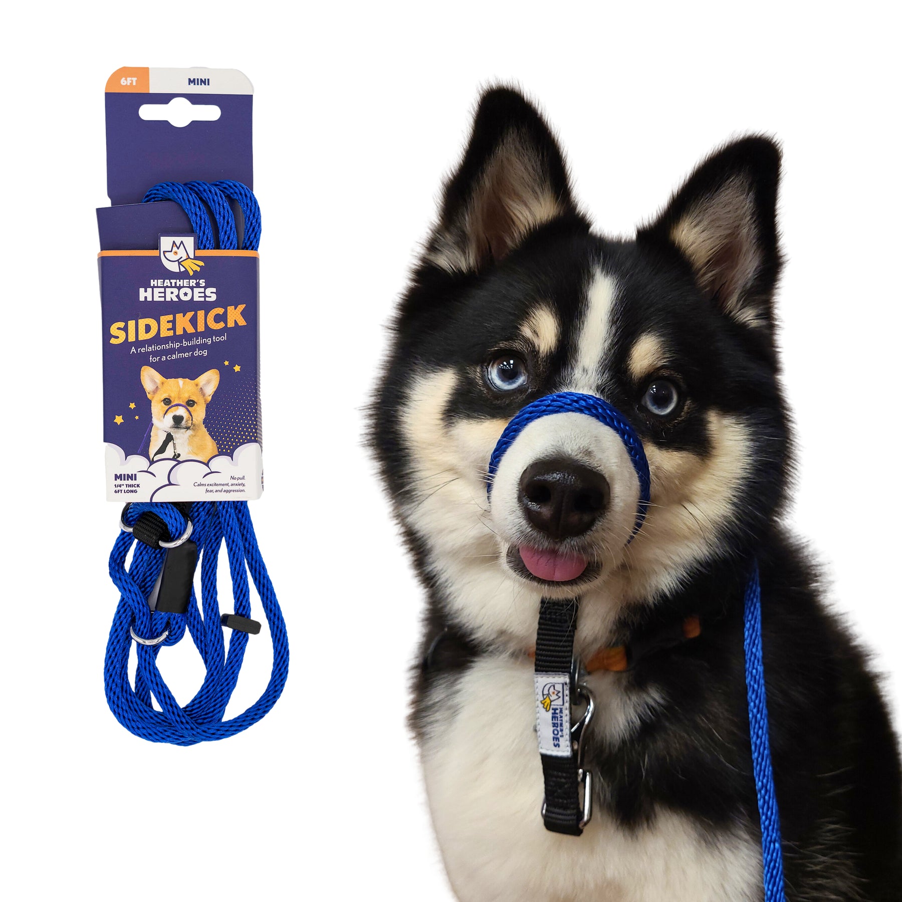 The Sidekick® Transitional Leash® – Heather's Heroes